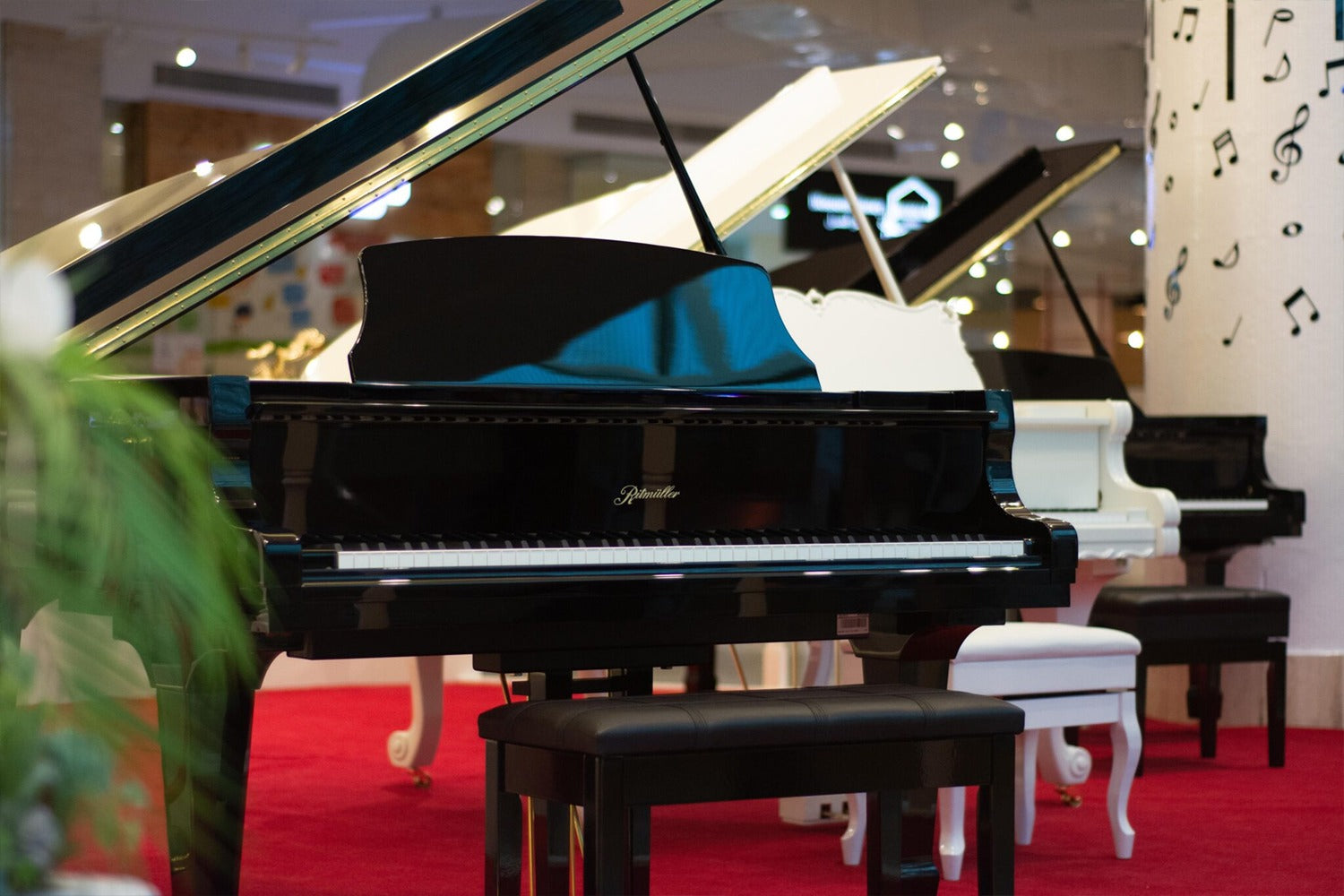 Piano Store in Abu Dhabi | Best Piano Showroom | The Piano Gallery